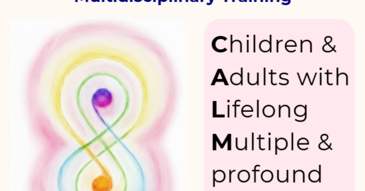 Goetheanum | Physicians and Therapists in Therapeutic Education and ...